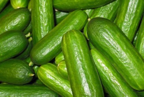 Come coltivare i cetrioli e averli all’infinito con il trucco degli ...