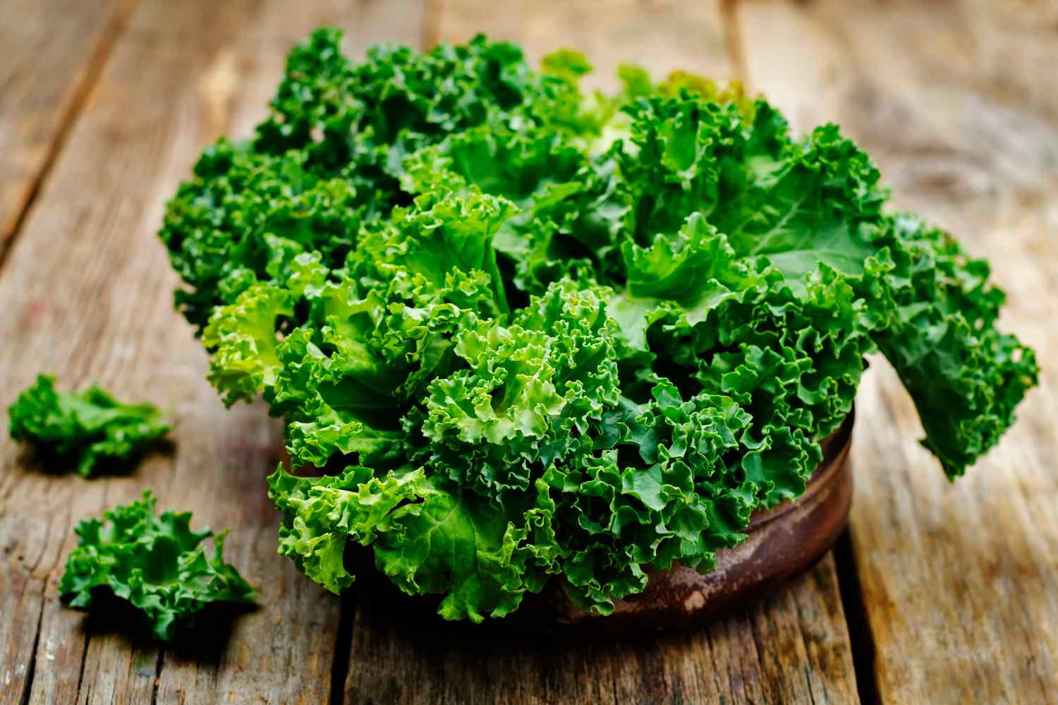 Cavolo riccio: se non aggiungi questo ingrediente, i nutrienti restano ...